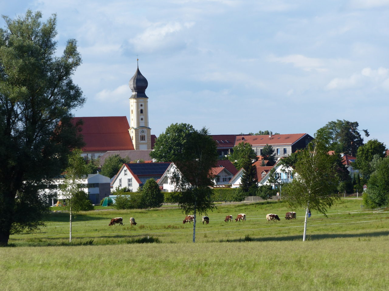 Blättle - Markt Pfaffenhausen